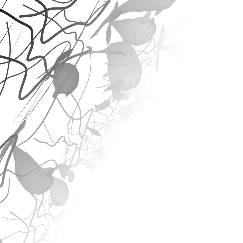 ds_eyeshading_ex4_in_sunShadowmap1