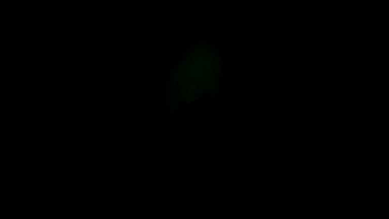 ds_motionVector_ex2_outMotionVectorTexture